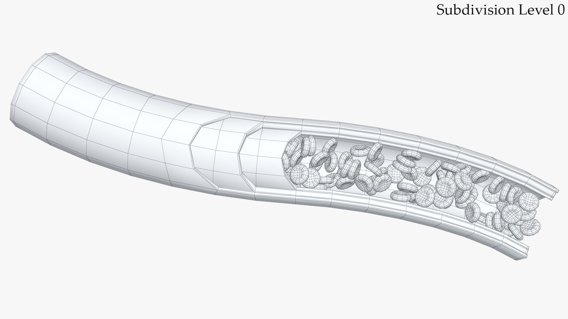 3D Model Blood Vessel Section - TurboSquid 1503137