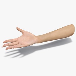 Free 3D Hand Models | TurboSquid