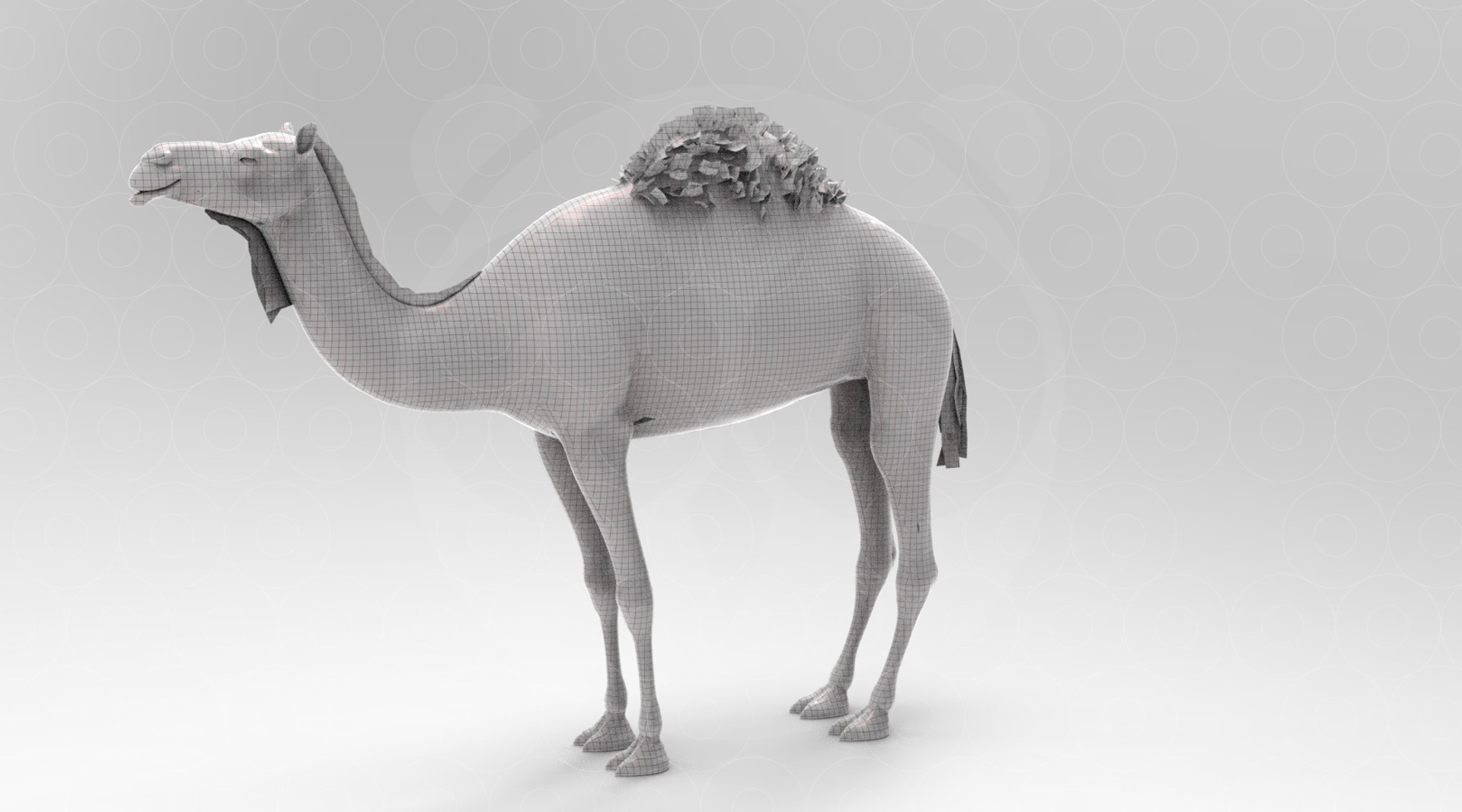 Camel - Animated 3D - TurboSquid 2110156