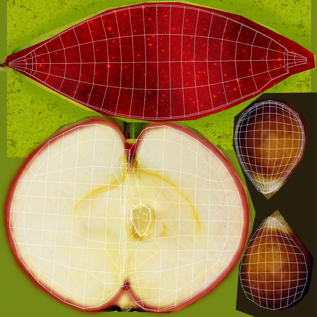 Red Apple Slice 3d Model