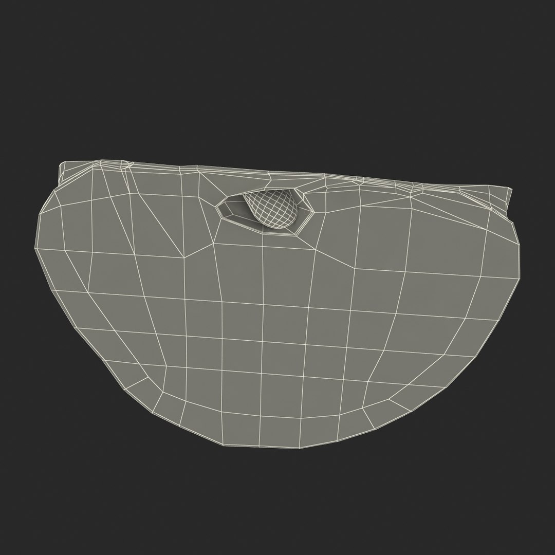 Red Apple Slice 3d Model