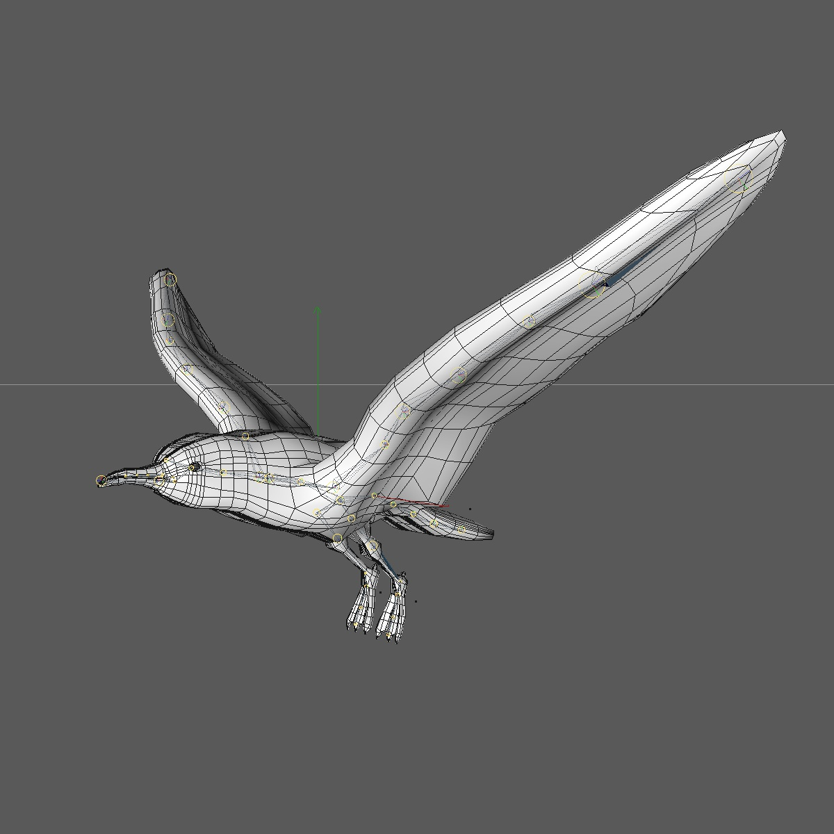 single flying seagull animation 3d c4d