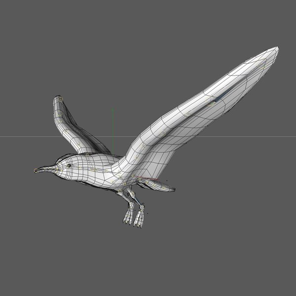 single flying seagull animation 3d c4d
