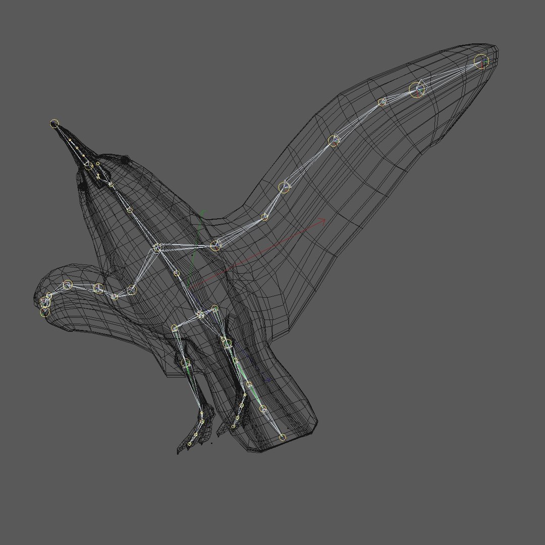 Single Flying Seagull Animation 3d C4d