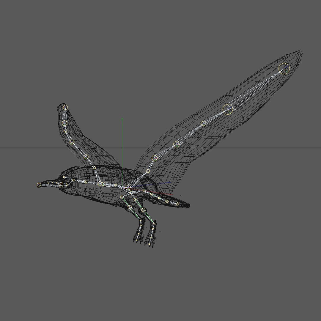 Single Flying Seagull Animation 3d C4d