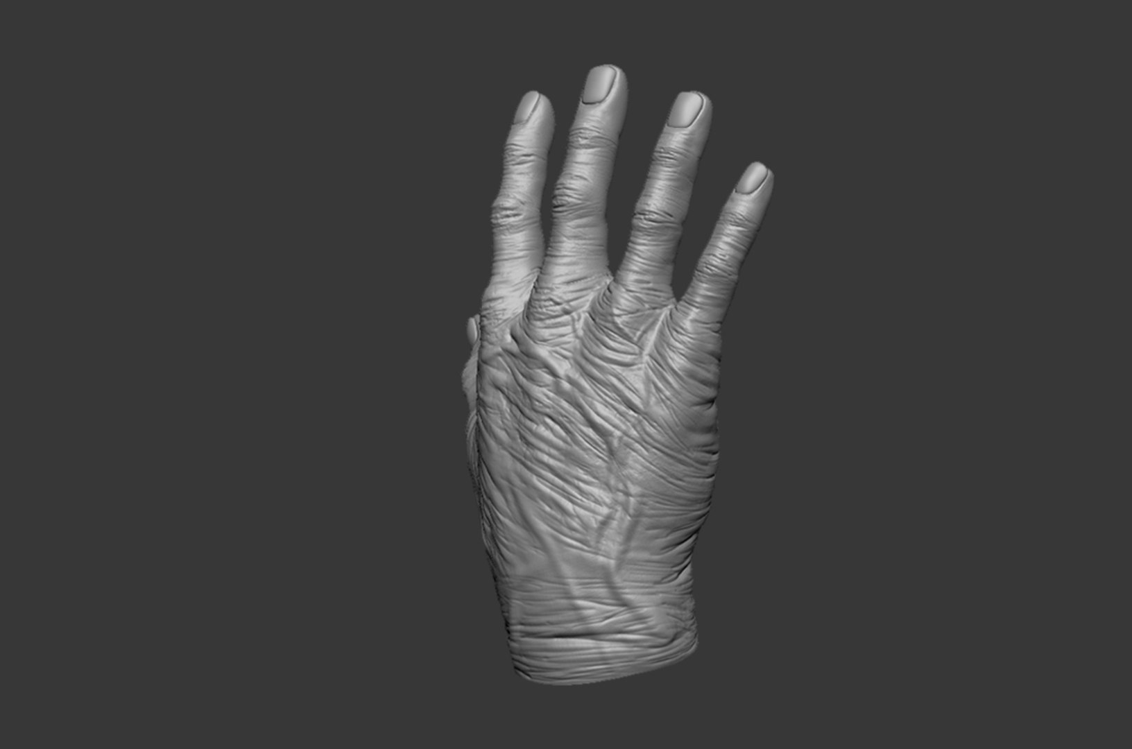 3D Model Old Human Hand - TurboSquid 1419280
