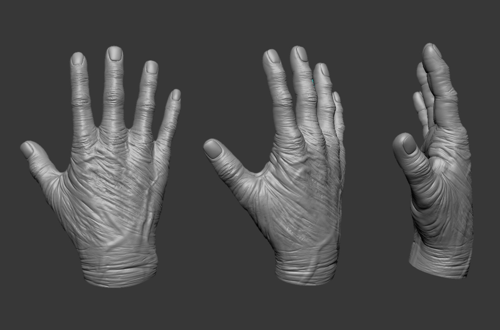 3D Model Old Human Hand - TurboSquid 1419280