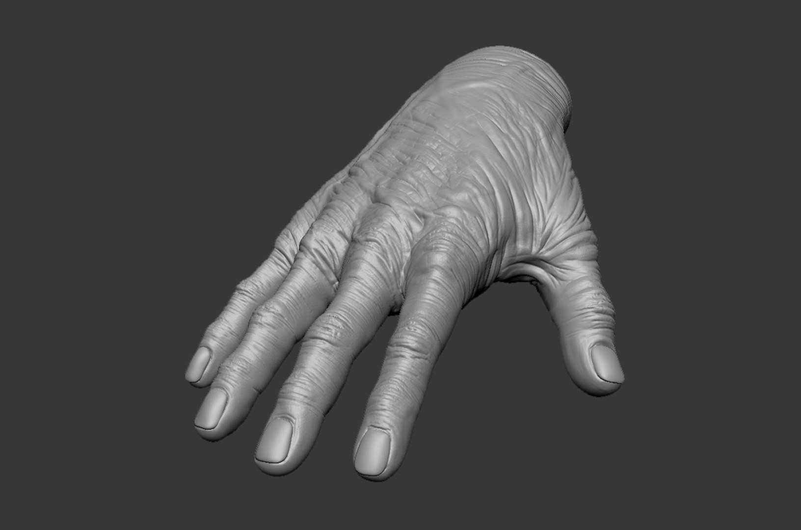 3D Model Old Human Hand - TurboSquid 1419280