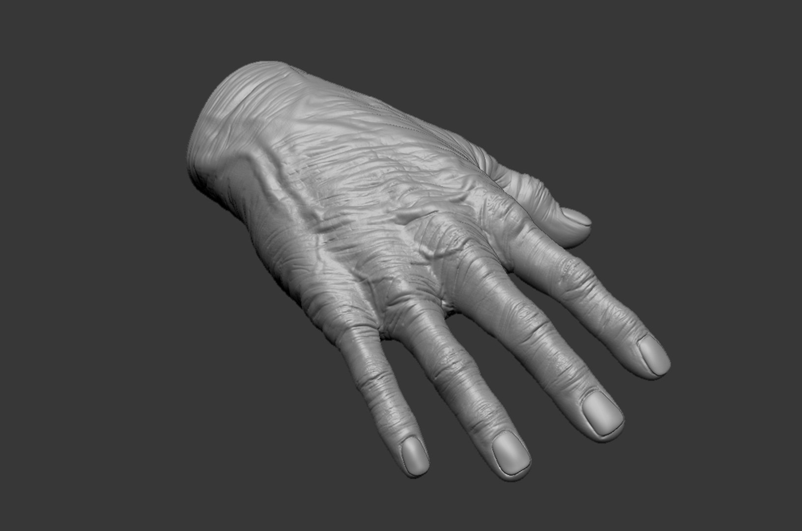 3D Model Old Human Hand - TurboSquid 1419280