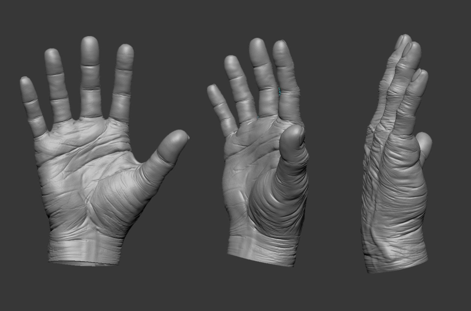 3D Model Old Human Hand - TurboSquid 1419280