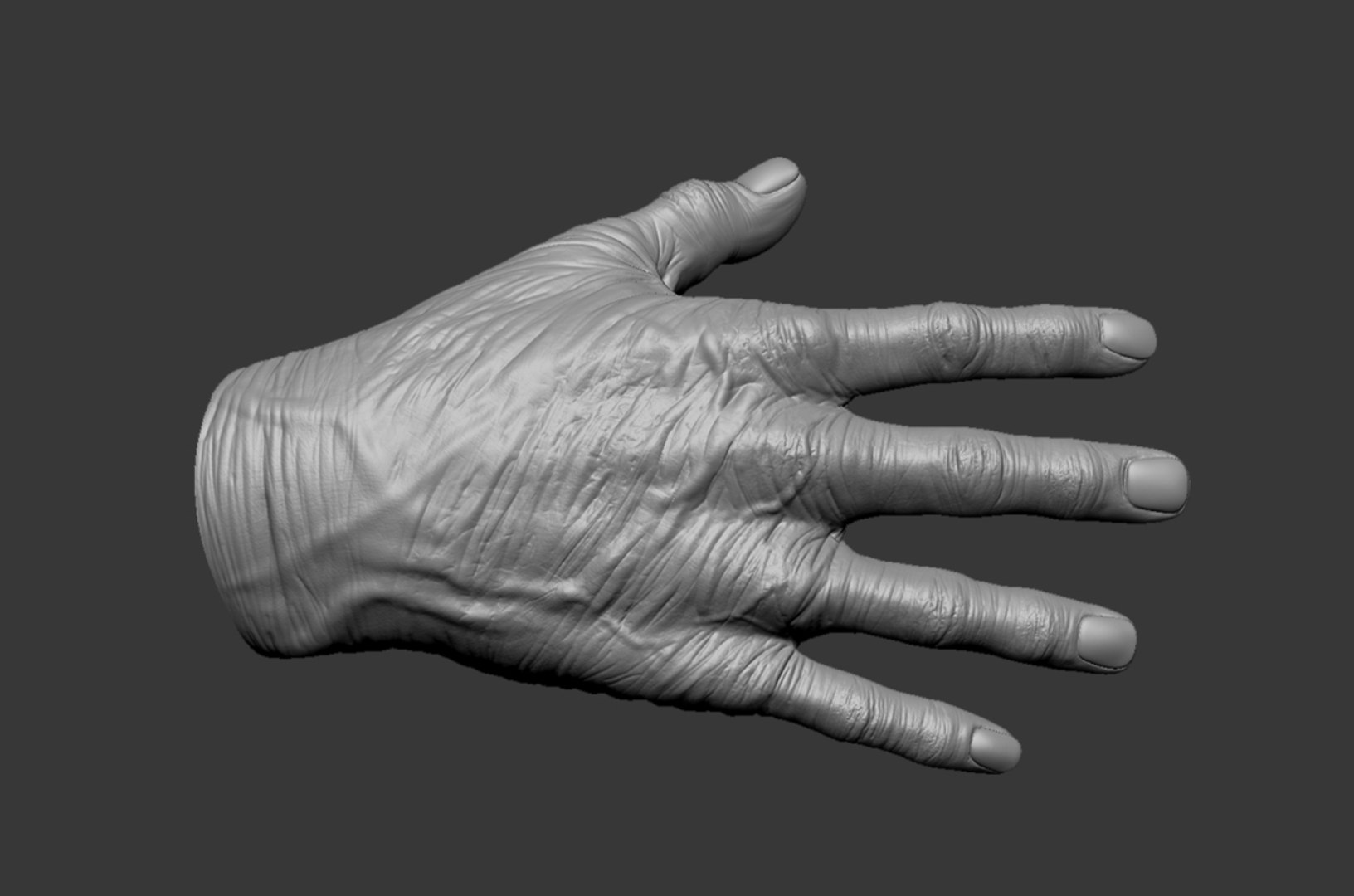 3D Model Old Human Hand - TurboSquid 1419280