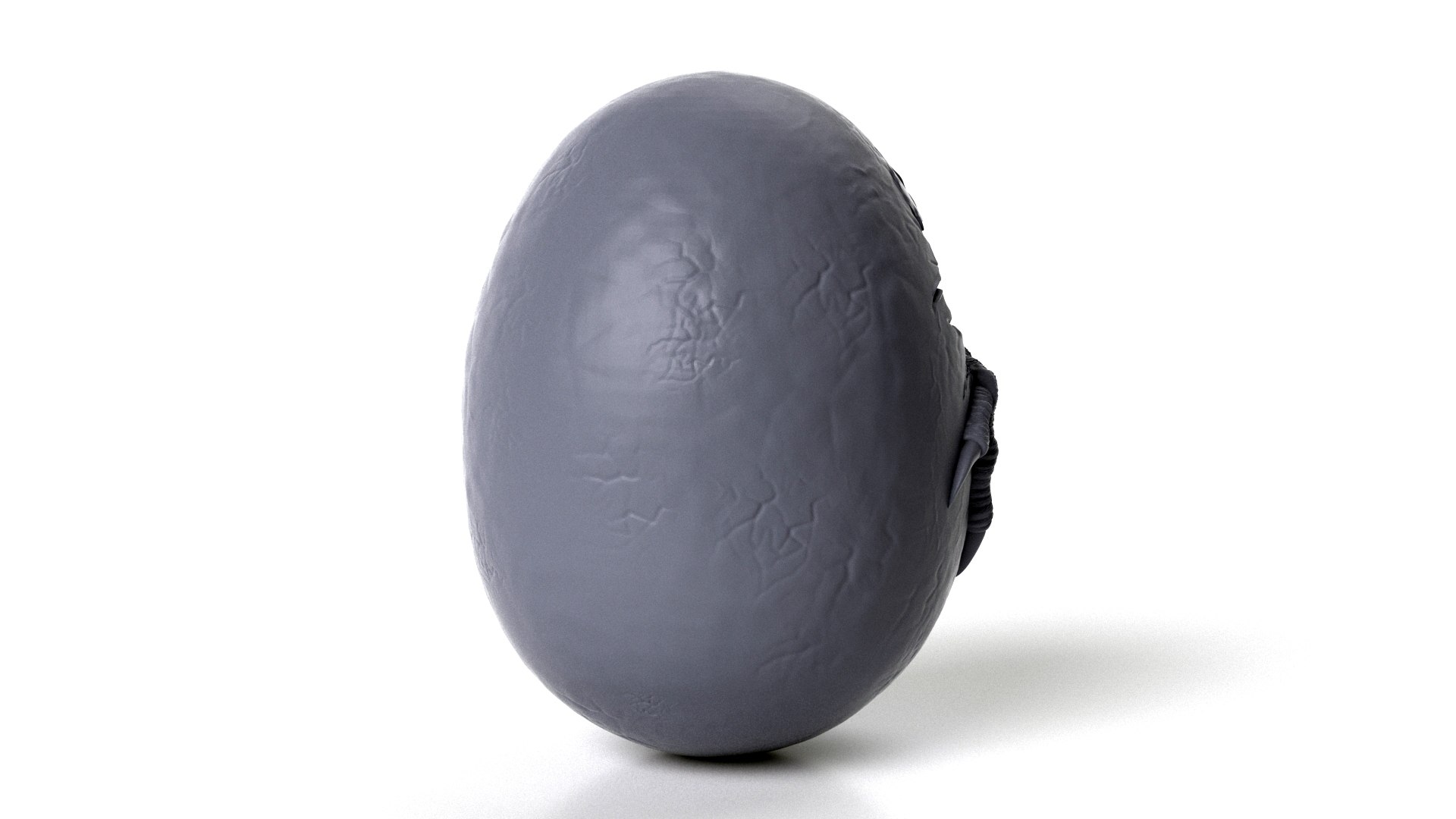 Egg Model - TurboSquid 1478135
