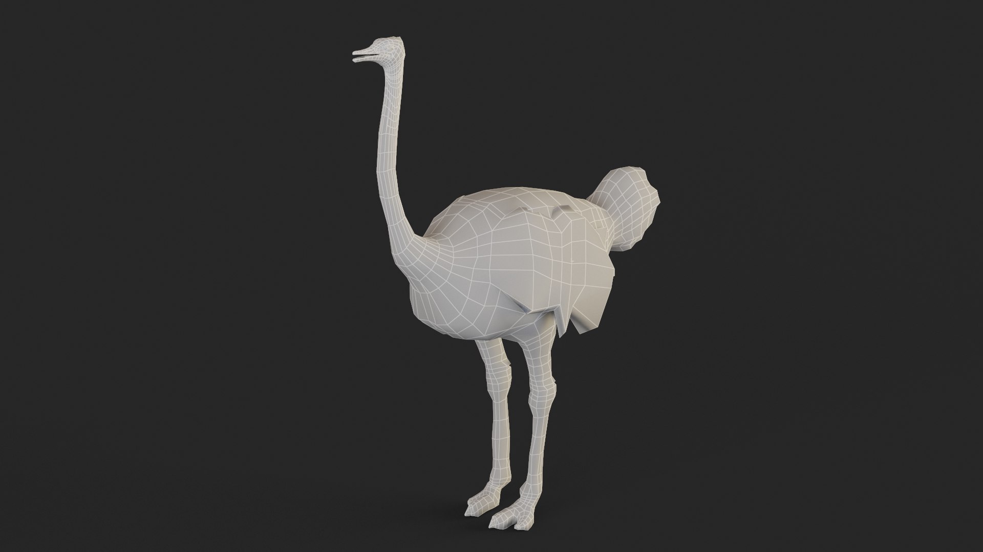 3D realistic ostrich model - TurboSquid 1705495