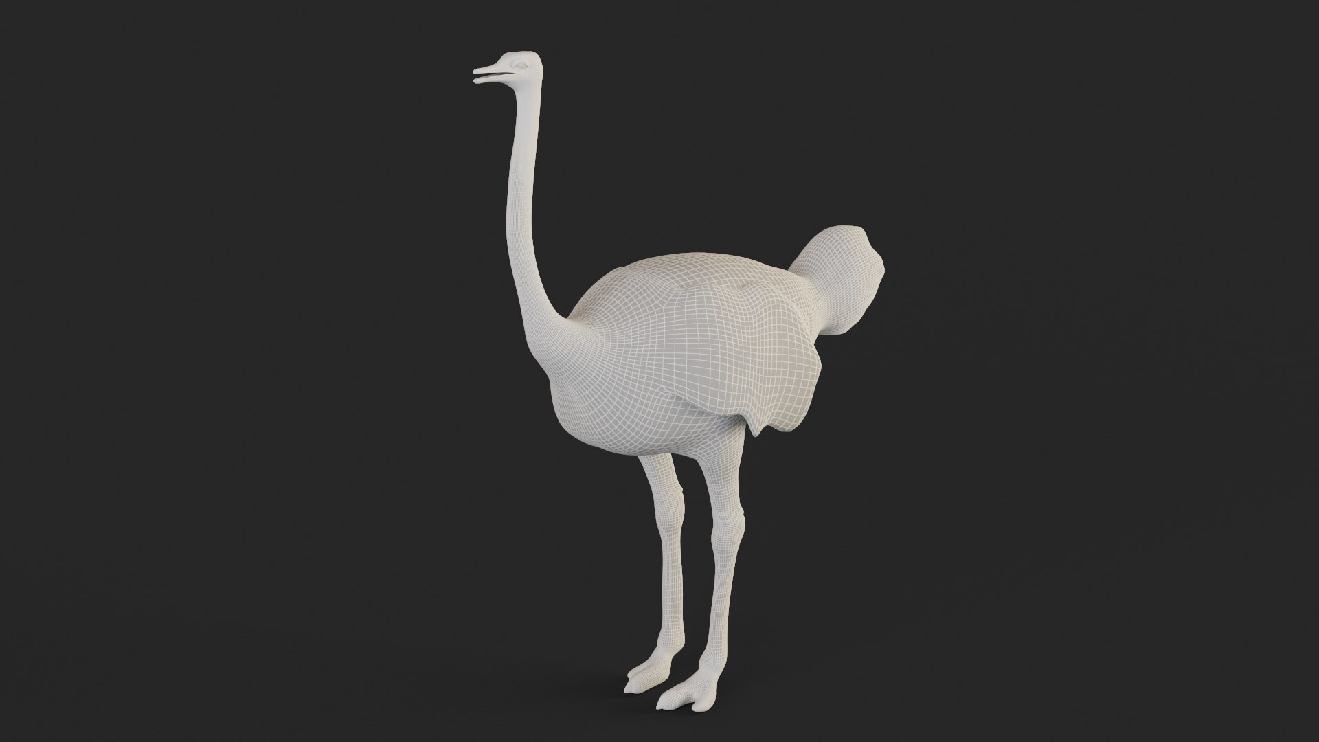 3D realistic ostrich model - TurboSquid 1705495