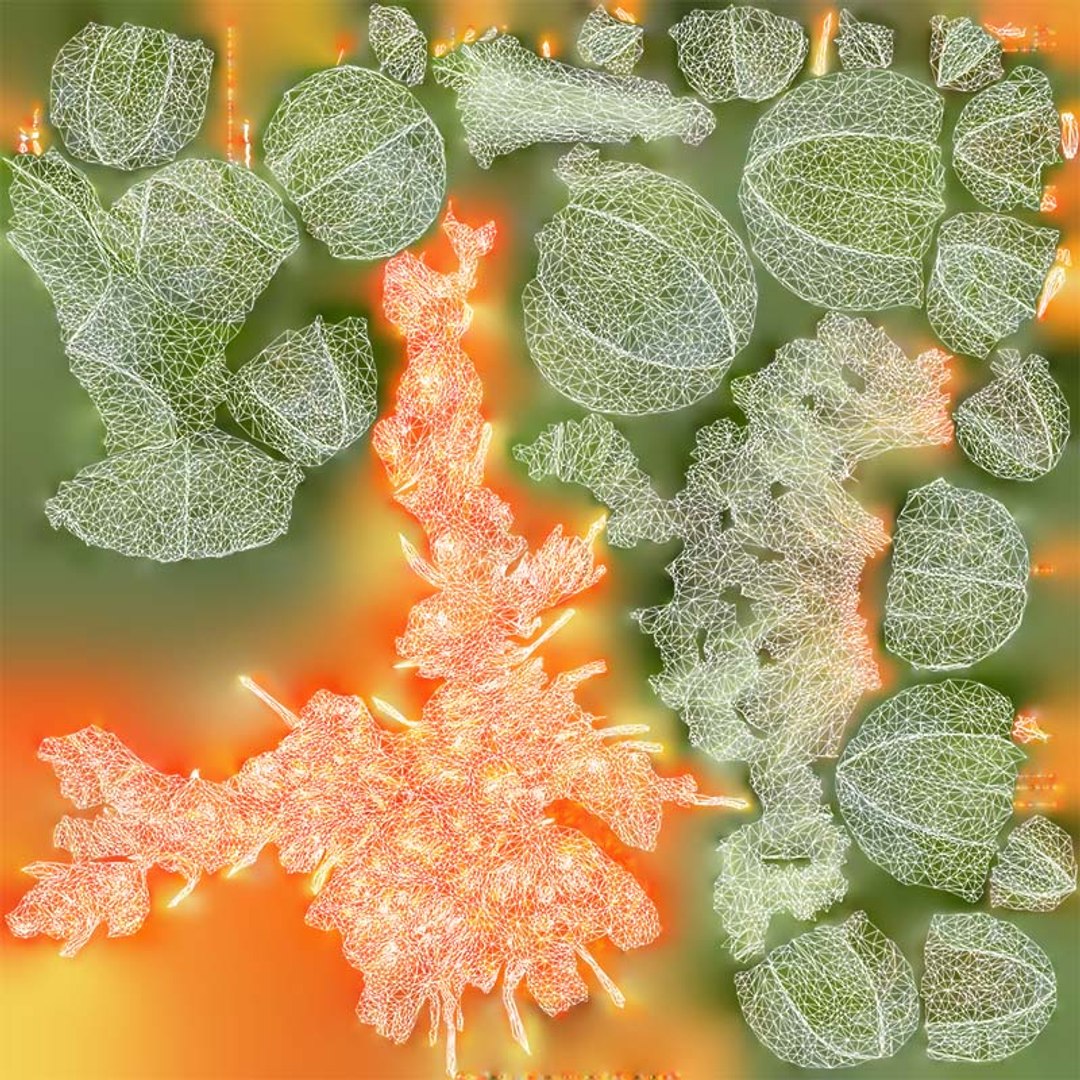 Safflower Carthamus Tinctorius Remastered Model - TurboSquid 2362609