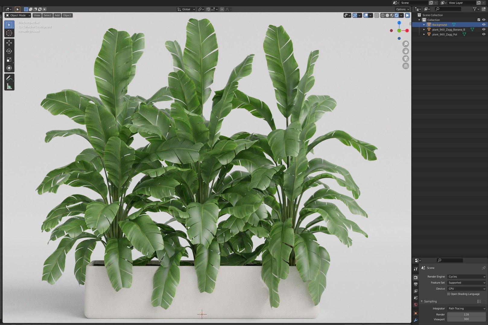 3D Model Plants Collection 960 - TurboSquid 2102298