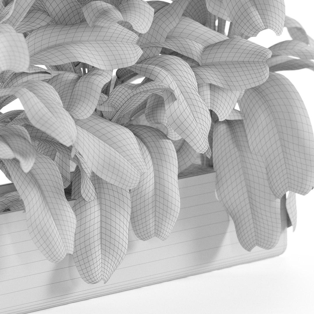 3D Model Plants Collection 960 - TurboSquid 2102298