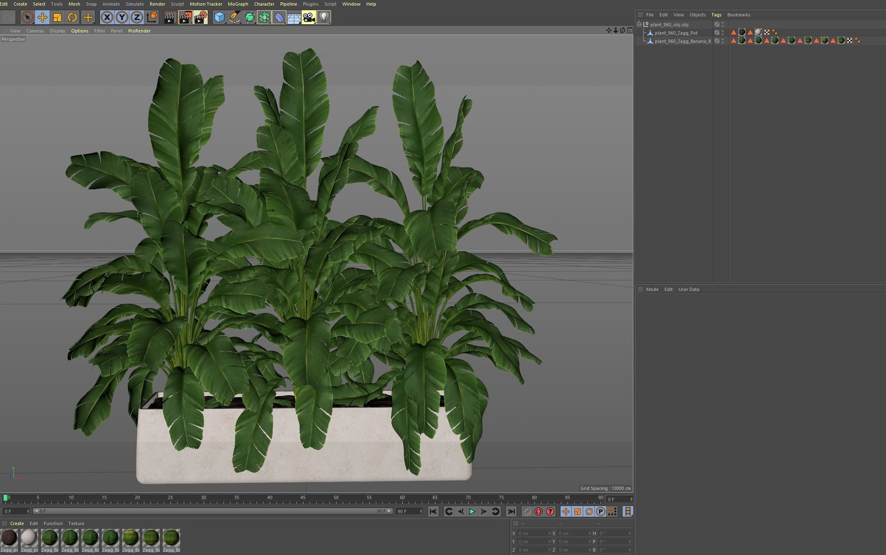 3D Model Plants Collection 960 - TurboSquid 2102298
