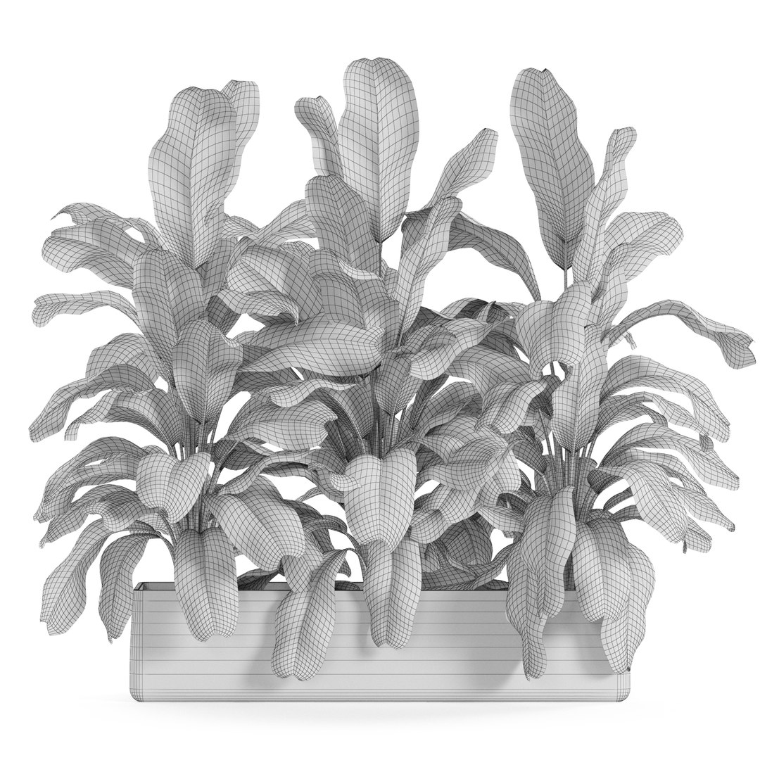 3D Model Plants Collection 960 - TurboSquid 2102298