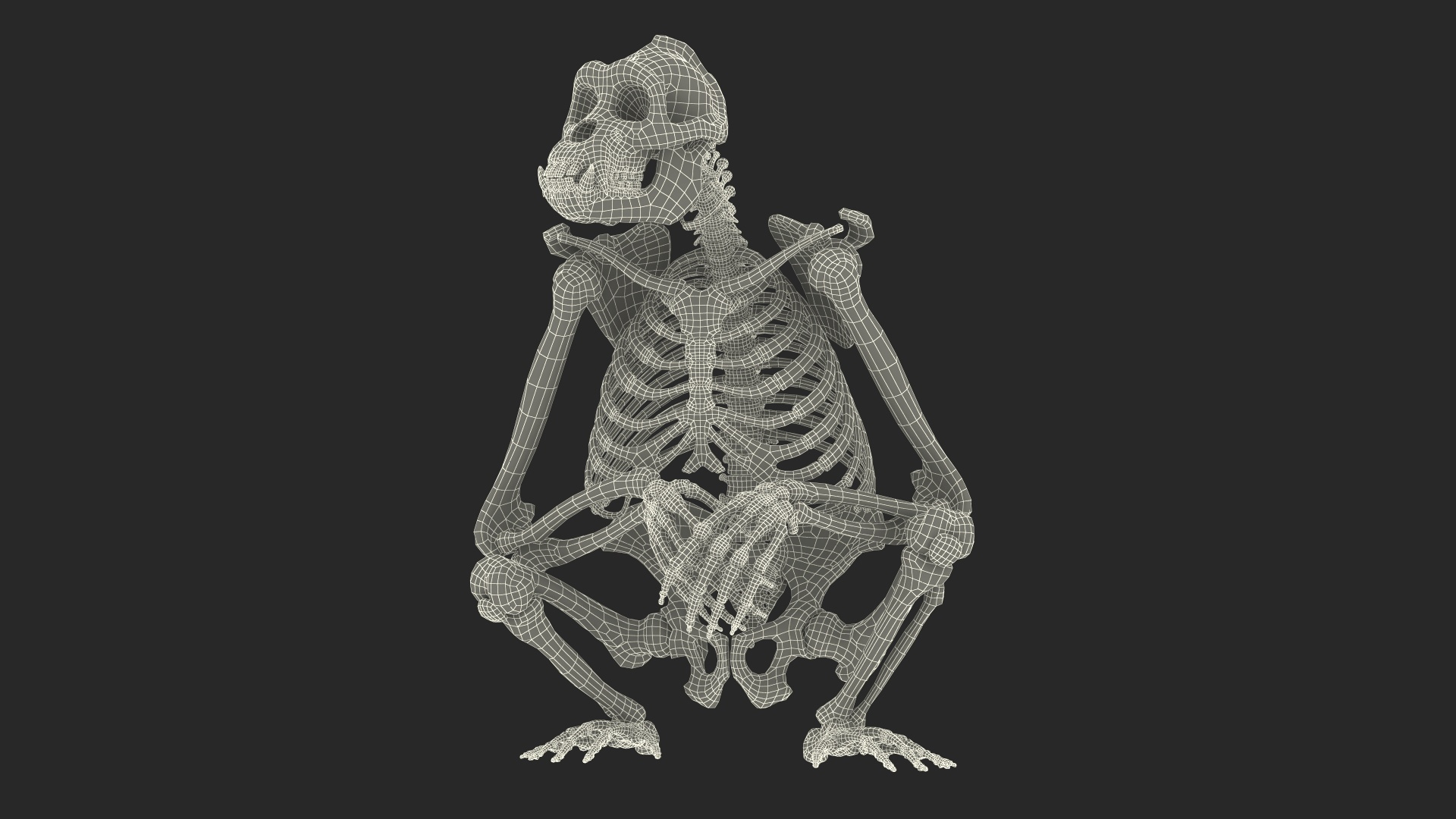3D Gorilla Skeleton Sitting Model - TurboSquid 2061417