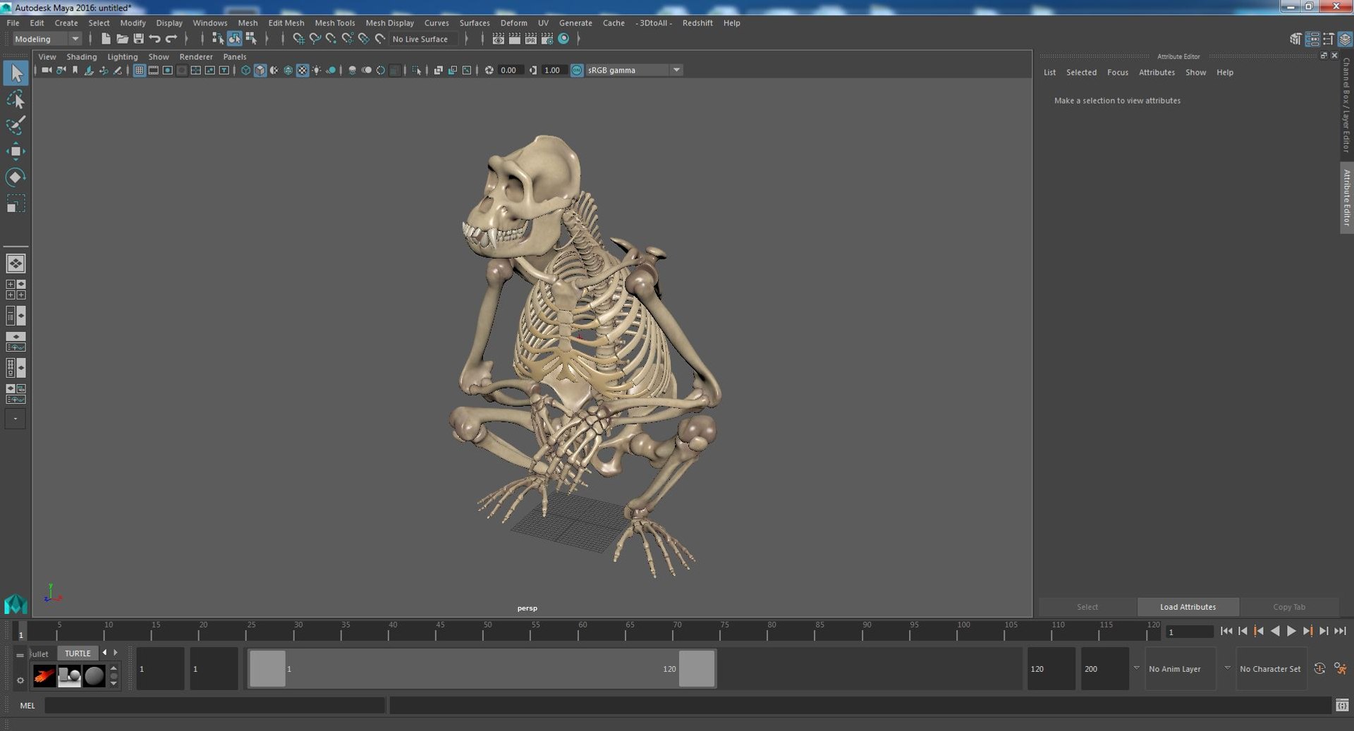 3D Gorilla Skeleton Sitting Model - TurboSquid 2061417