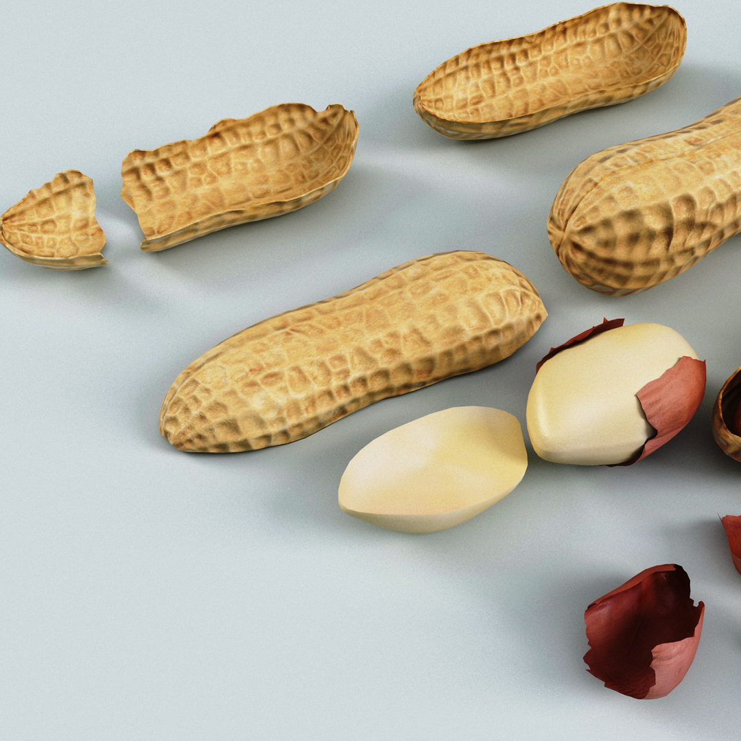 peanuts modelled open 3d max