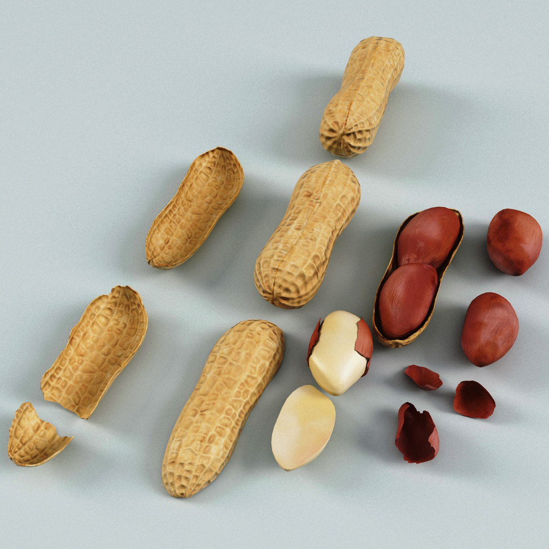 peanuts modelled open 3d max