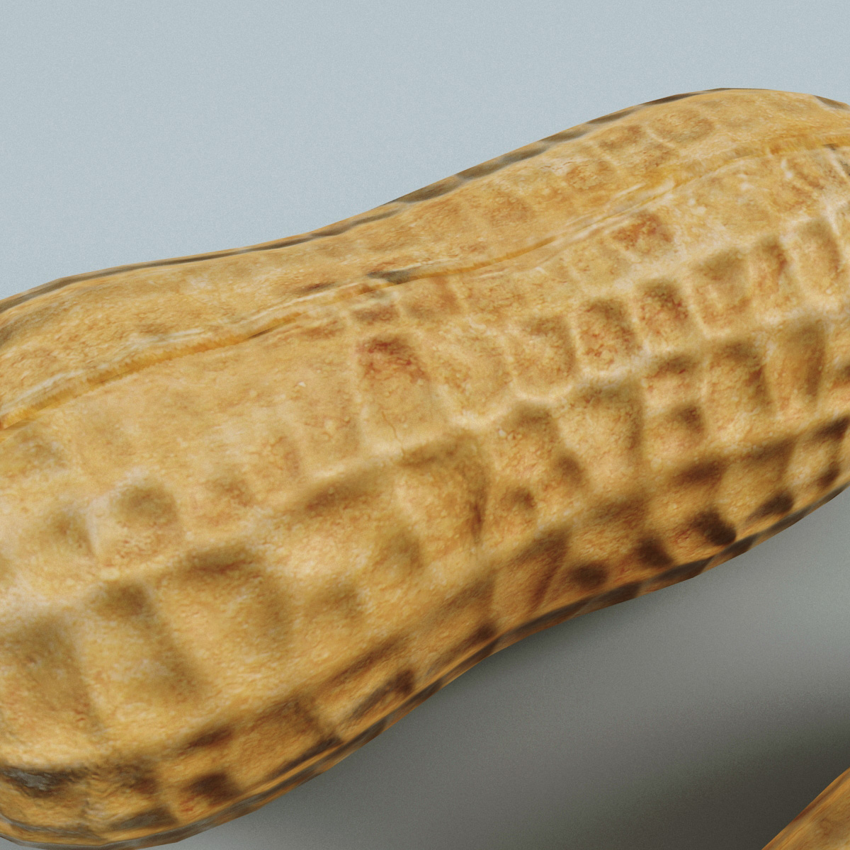 peanuts modelled open 3d max