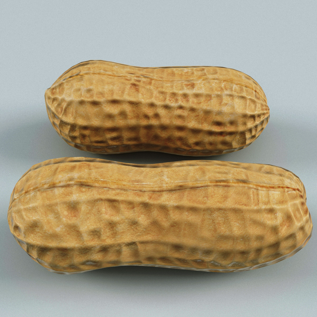 peanuts modelled open 3d max