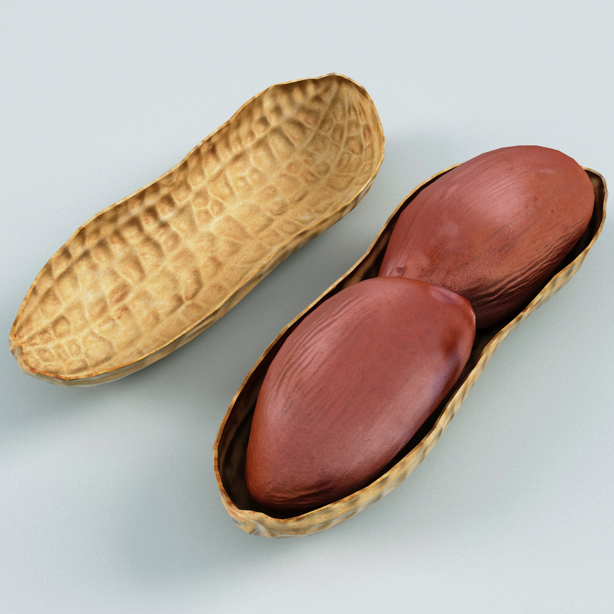 peanuts modelled open 3d max