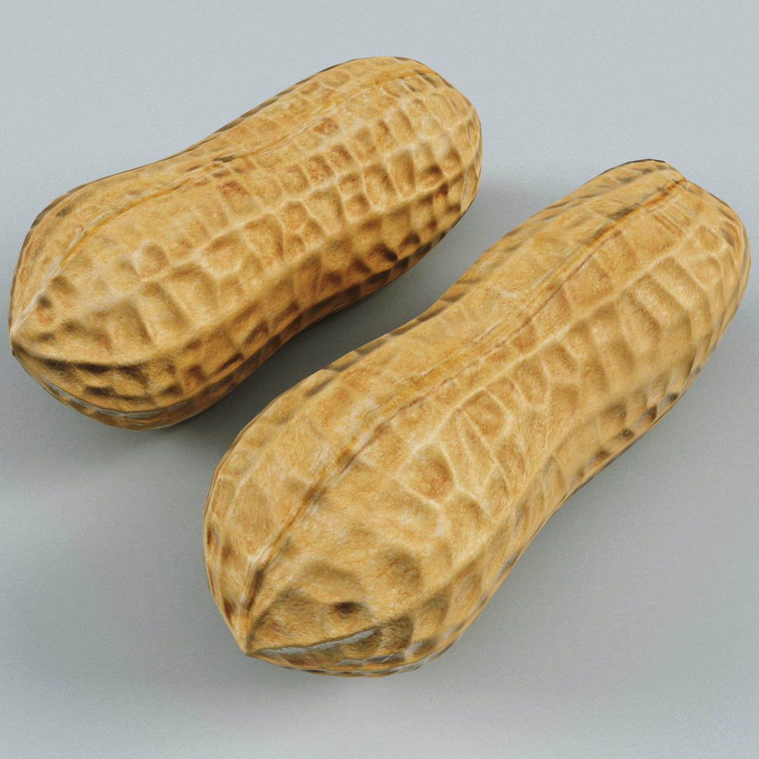 peanuts modelled open 3d max