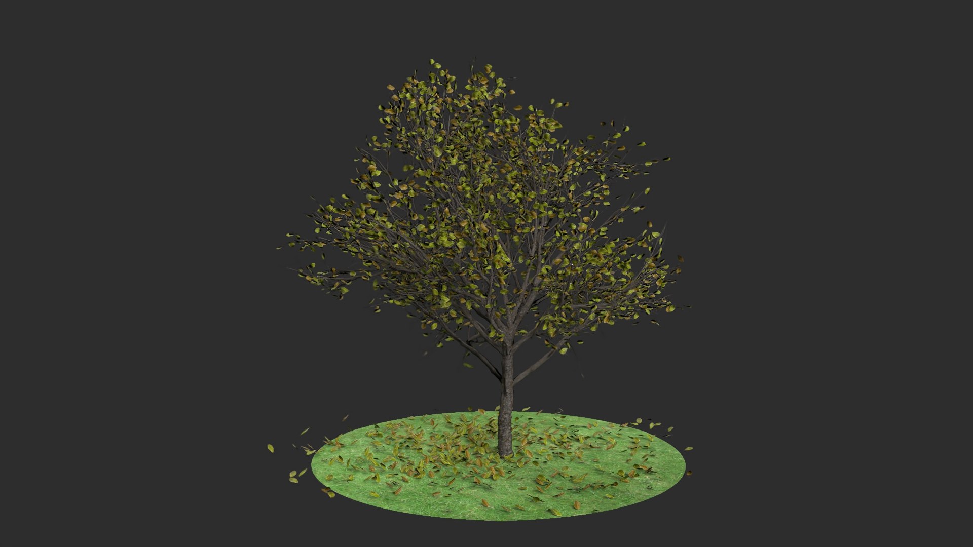 Orange autumn hight 3D - TurboSquid 1620441