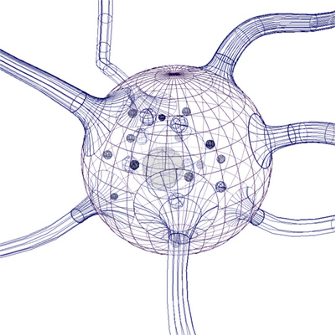 Neuron Cell Dendrites Biomedical 3d Model
