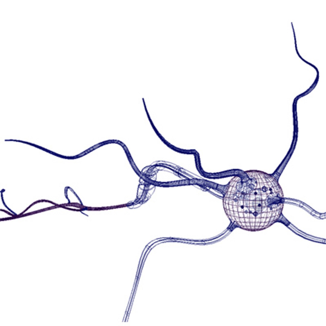 Neuron Cell Dendrites Biomedical 3d Model