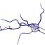 Neuron Cell Dendrites Biomedical 3d Model