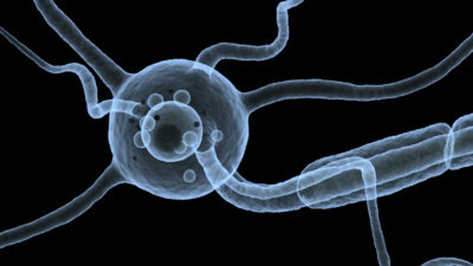 Neuron Cell Dendrites Biomedical 3d Model