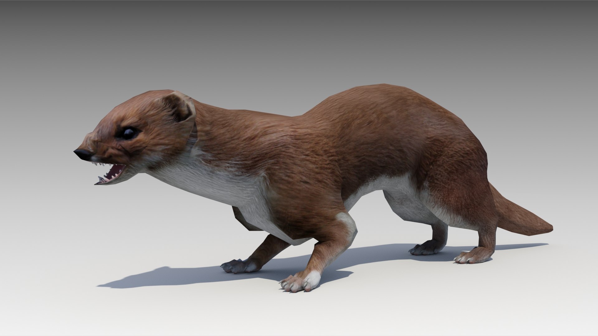 3D Weasel Model - TurboSquid 1184225