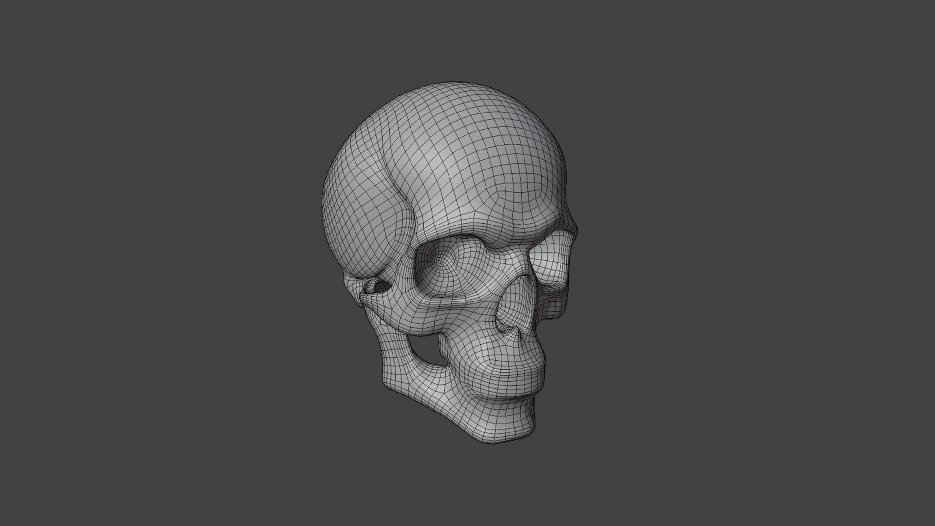 3D Low-Poly Human Skull - TurboSquid 2252030