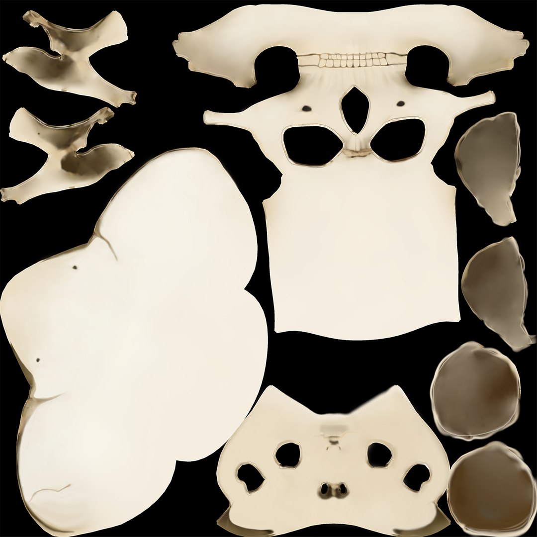 3D Low-Poly Human Skull - TurboSquid 2252030