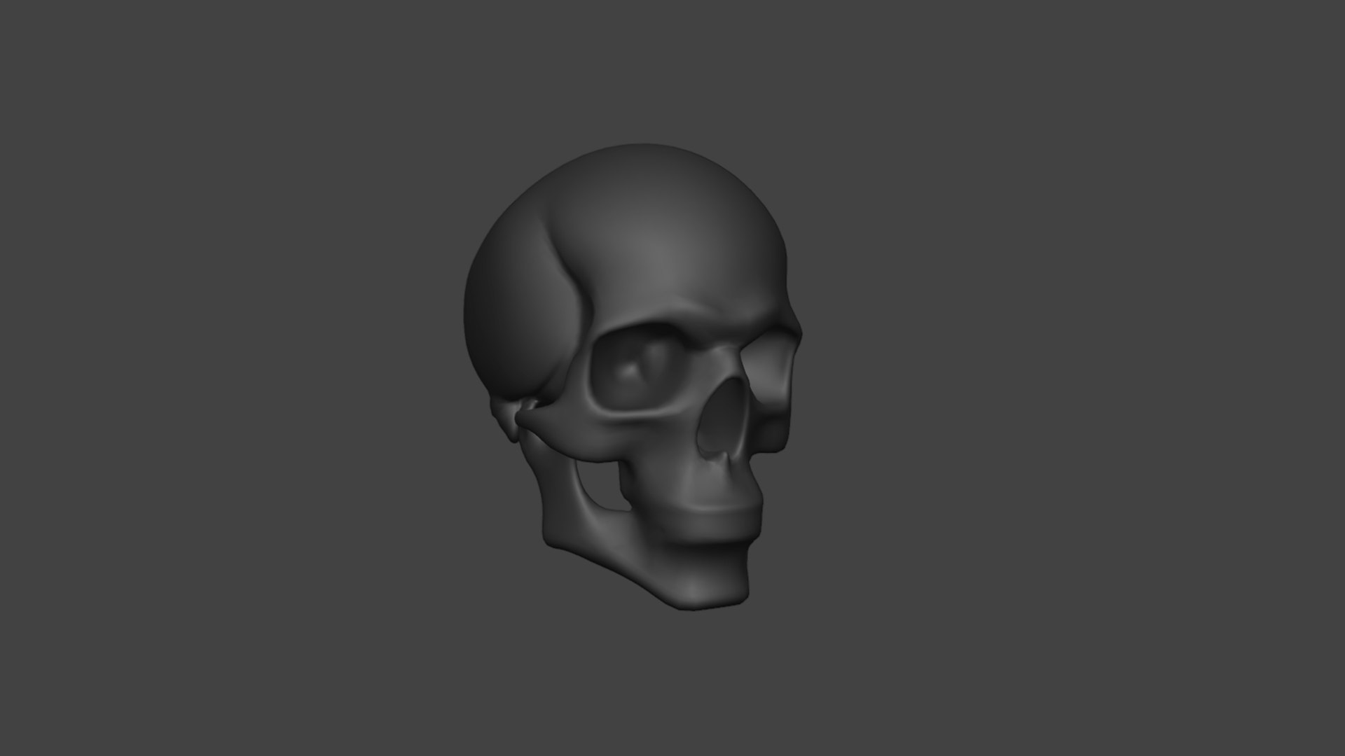 3D Low-Poly Human Skull - TurboSquid 2252030