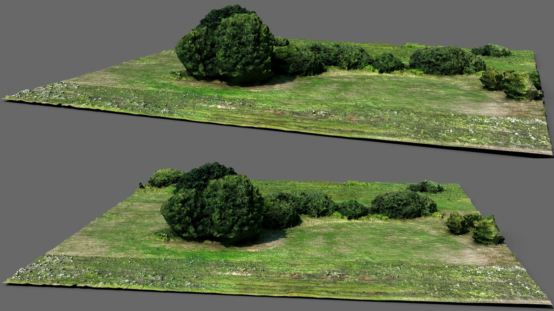 Trees Terrain Area Pt1 Lowpoly Drone Photogrammetry Model - TurboSquid ...