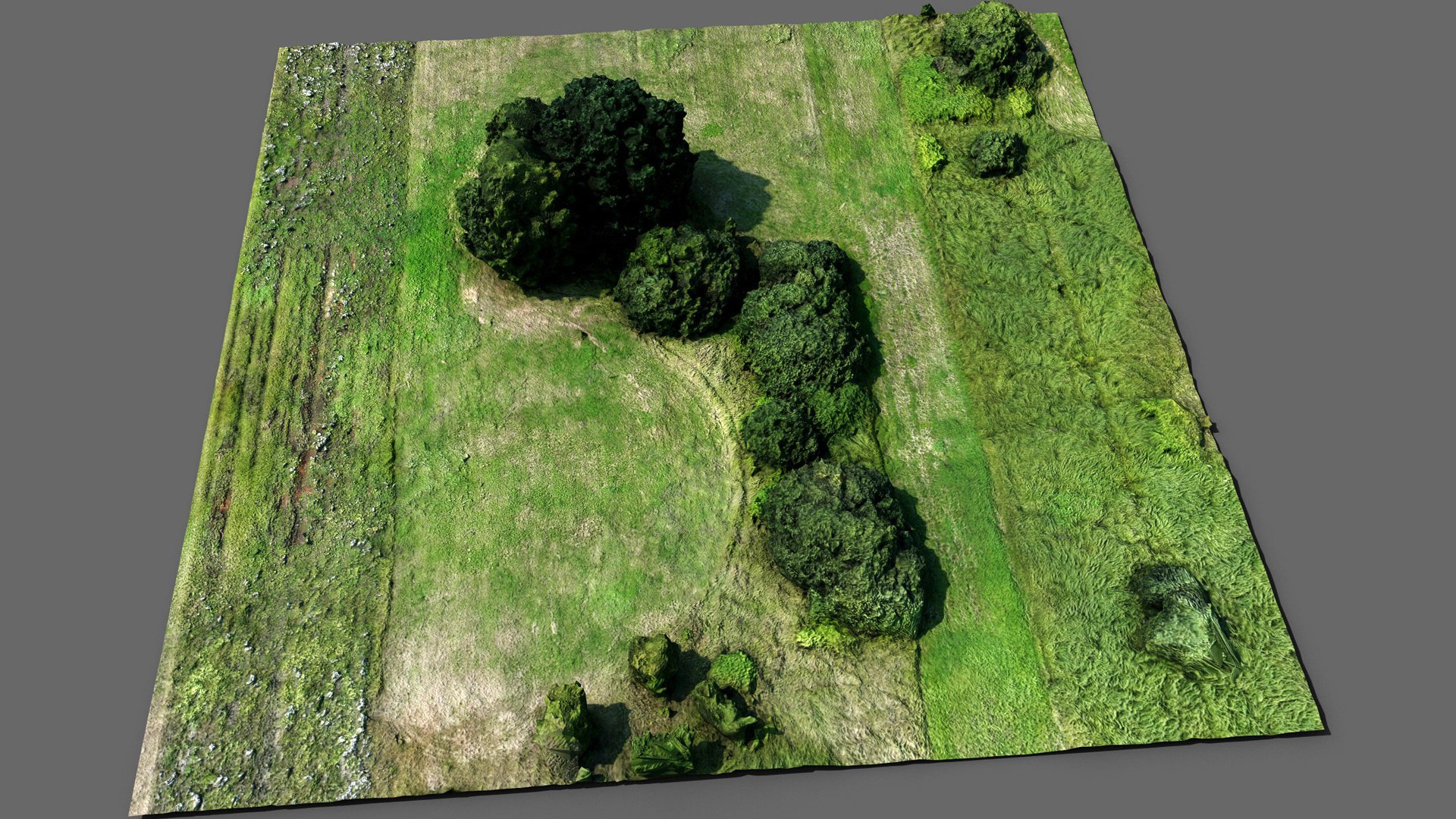 Trees Terrain Area Pt1 Lowpoly Drone Photogrammetry Model - TurboSquid ...