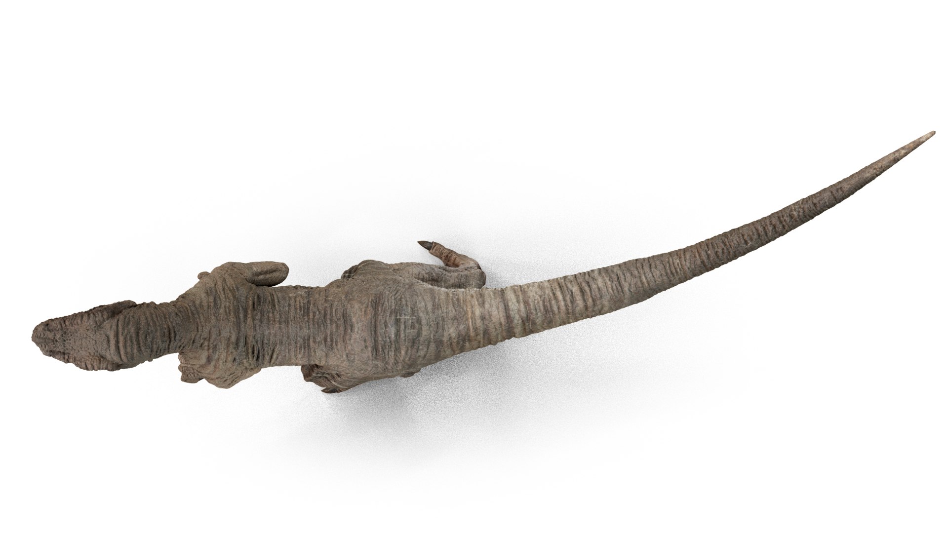 3D Velociraptor - TurboSquid 2129625