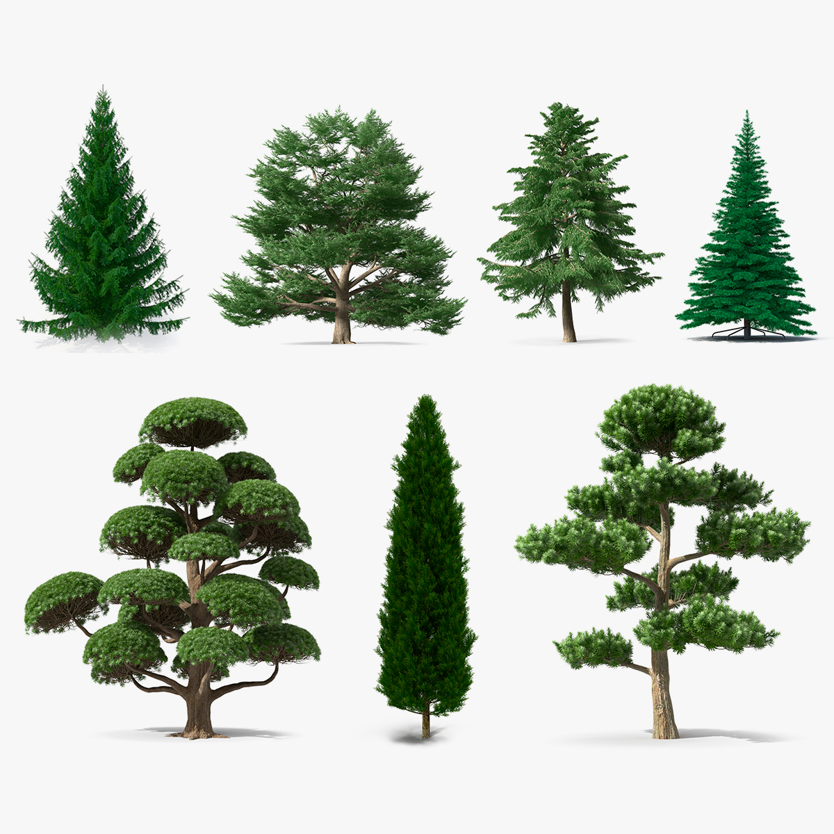 Evergreen Trees Collection 4 3D - TurboSquid 1909152
