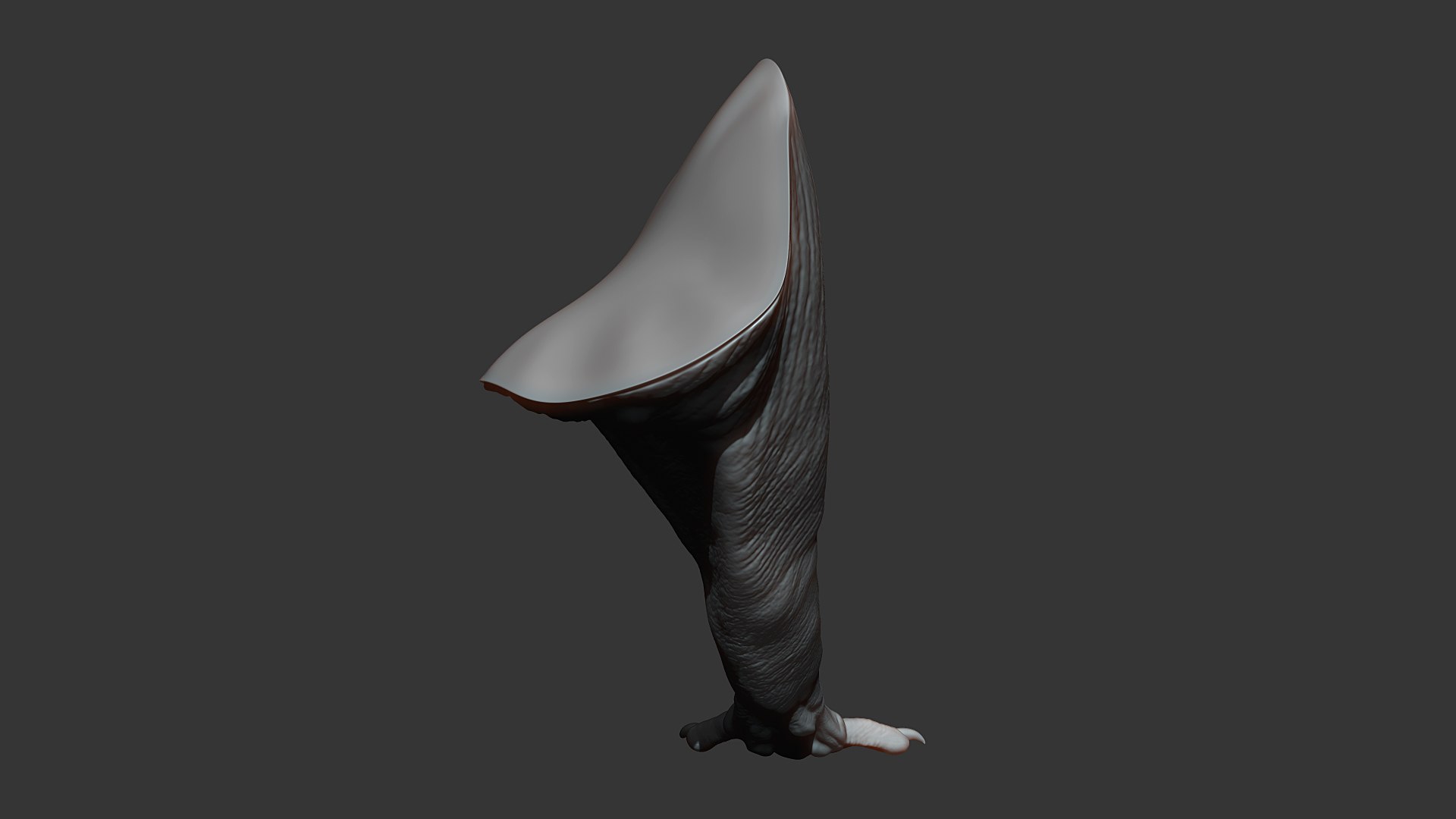 Rat Front Leg Highpoly Sculpt 3D Model - TurboSquid 1809929