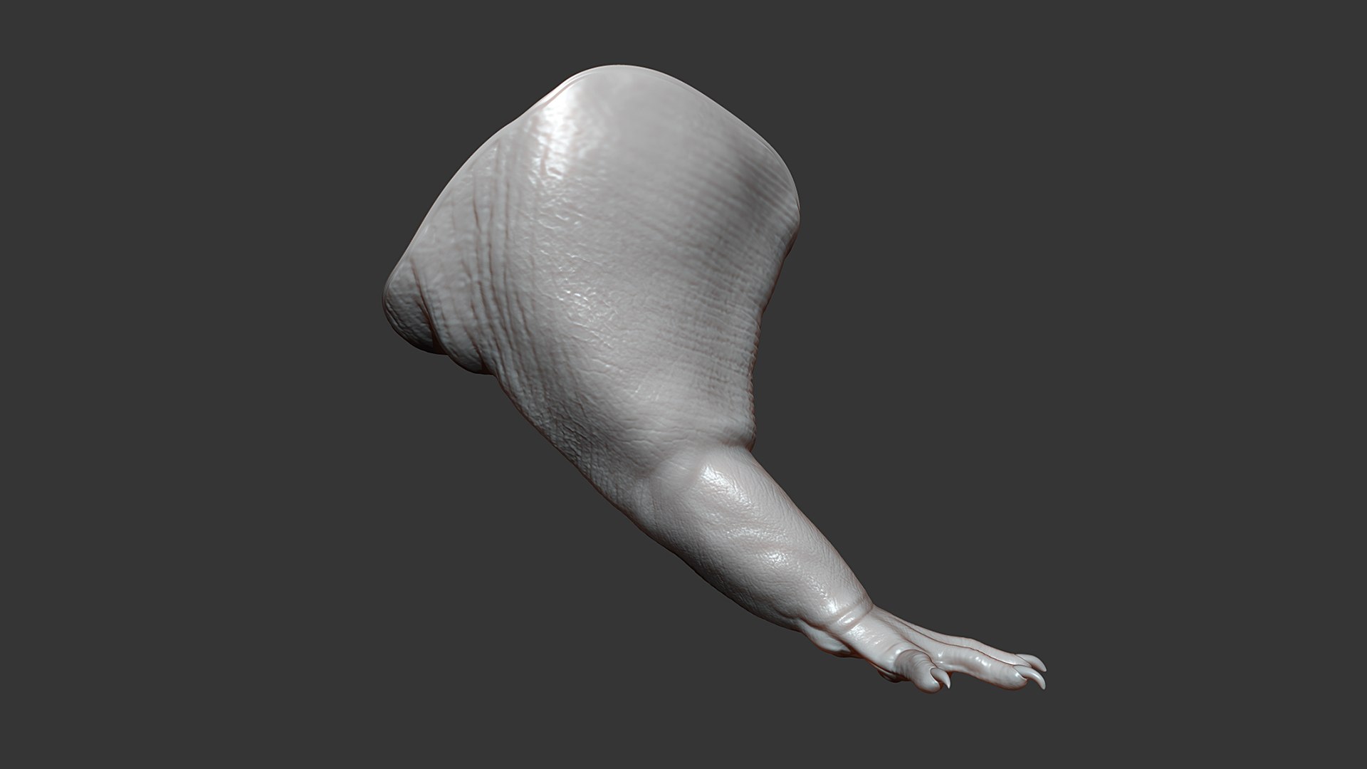 Rat Front Leg Highpoly Sculpt 3D Model - TurboSquid 1809929