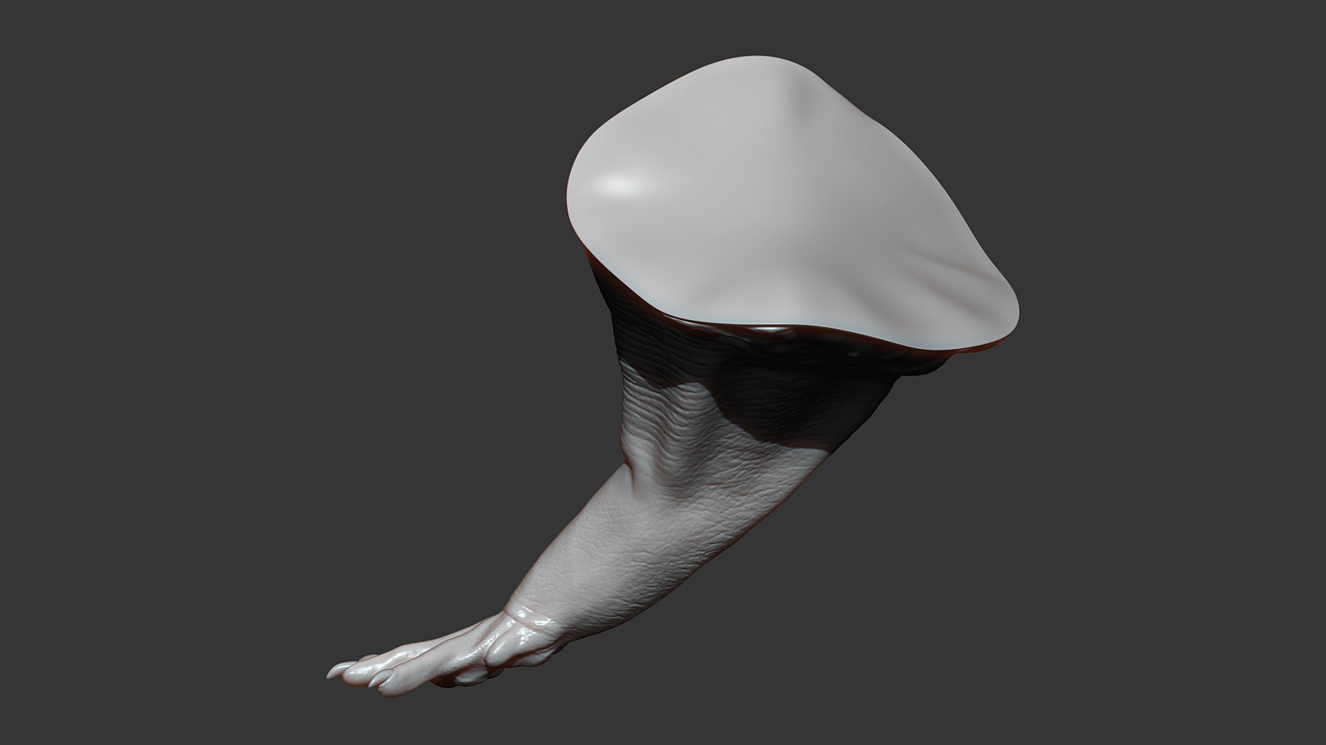 Rat Front Leg Highpoly Sculpt 3D Model - TurboSquid 1809929