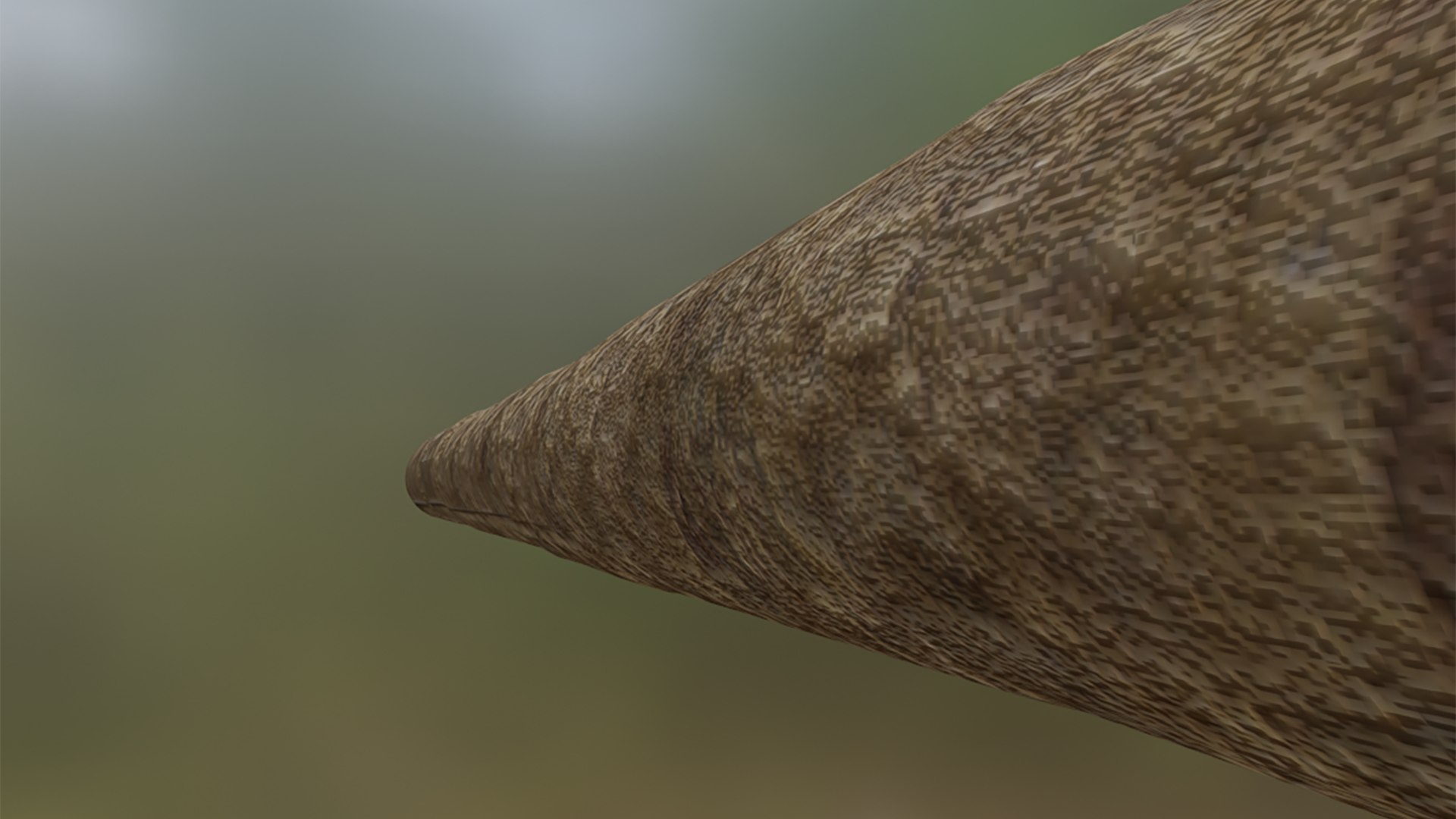 Free Wooden Log Model - TurboSquid 2263115