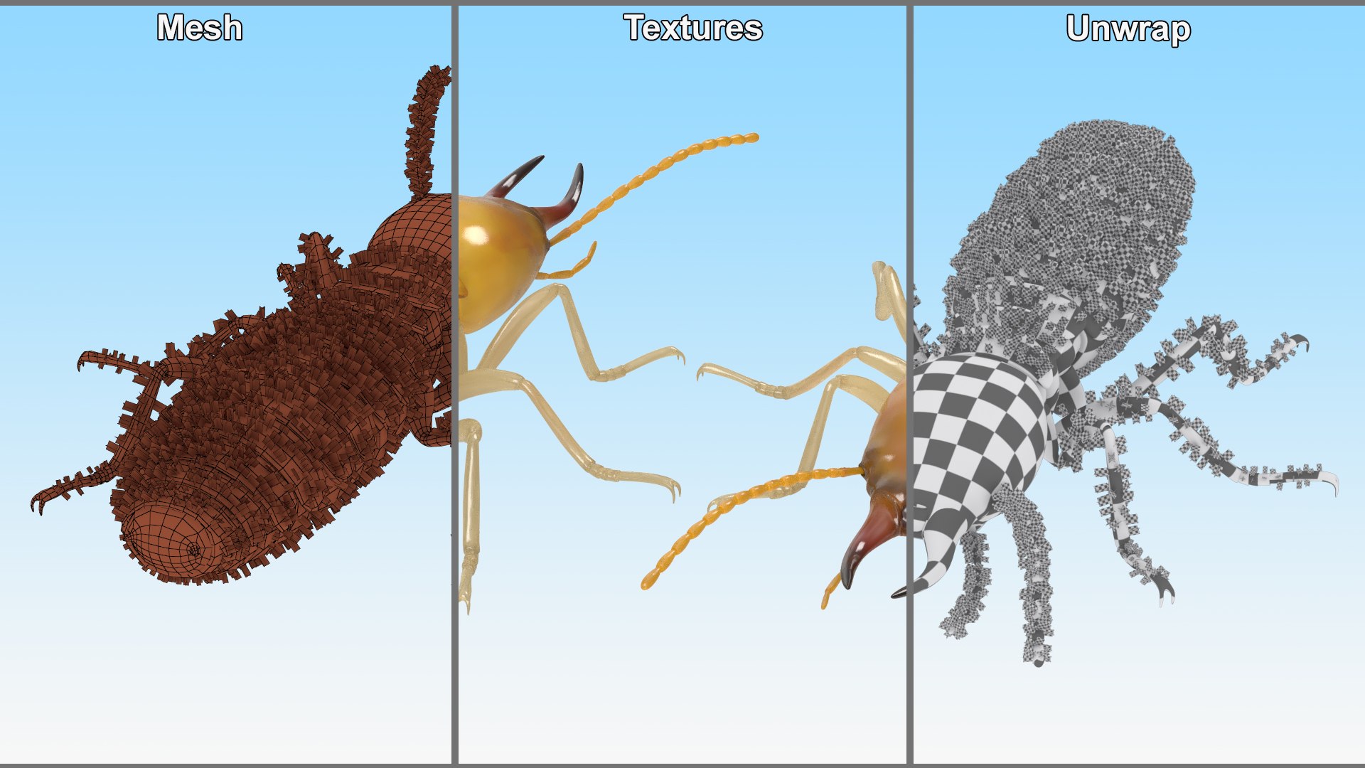 3D Termite Rigged For Cinema 4D Model - TurboSquid 2365538