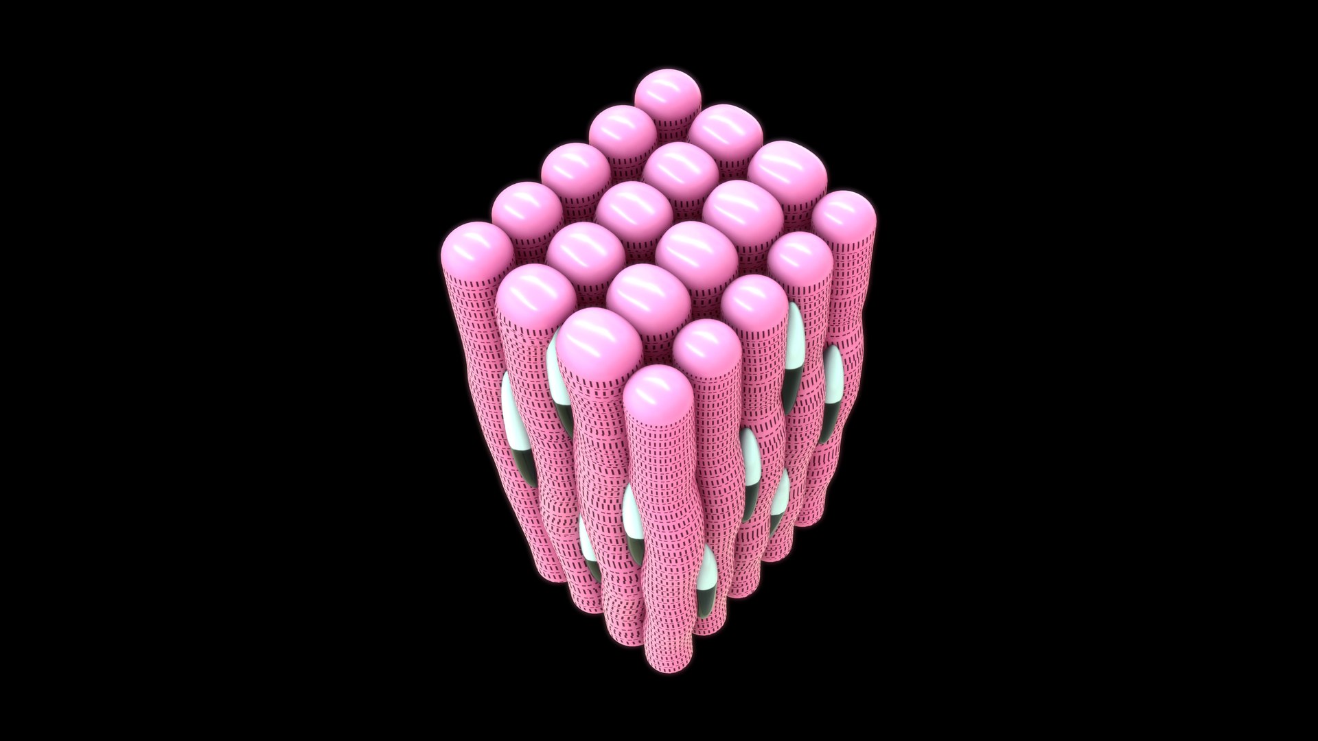 Striped Muscles Skeletal Muscle Tissue 3D - TurboSquid 2187672